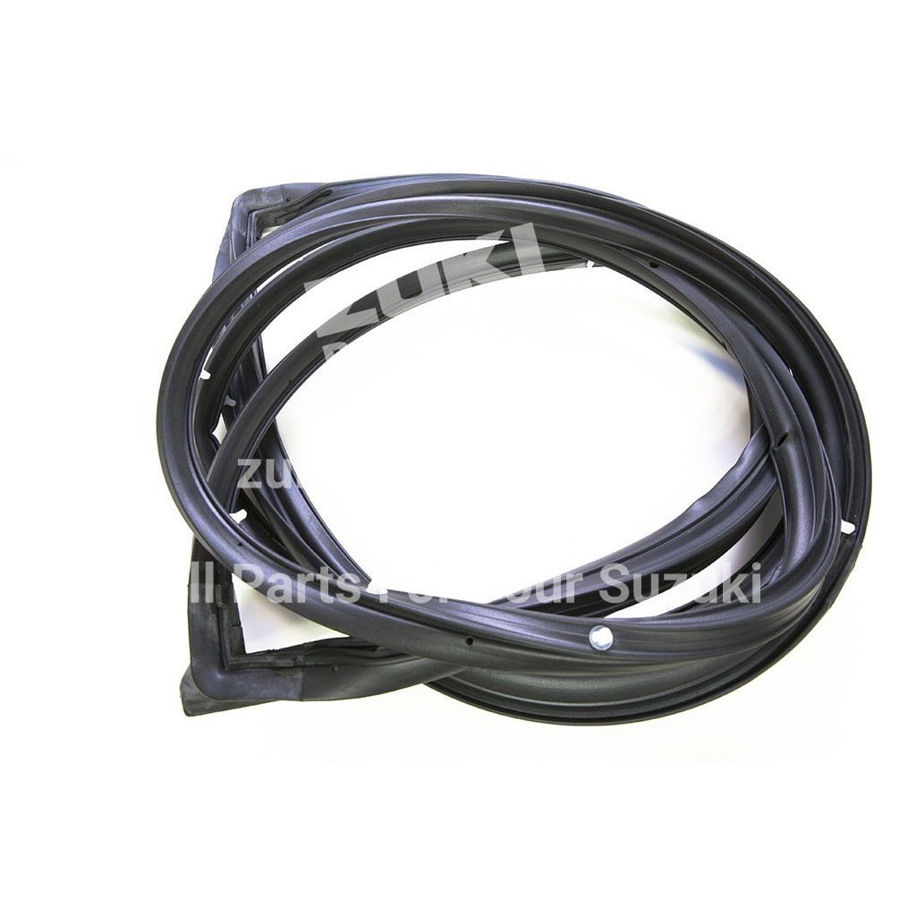 WEATHERSTRIP, REAR DOOR